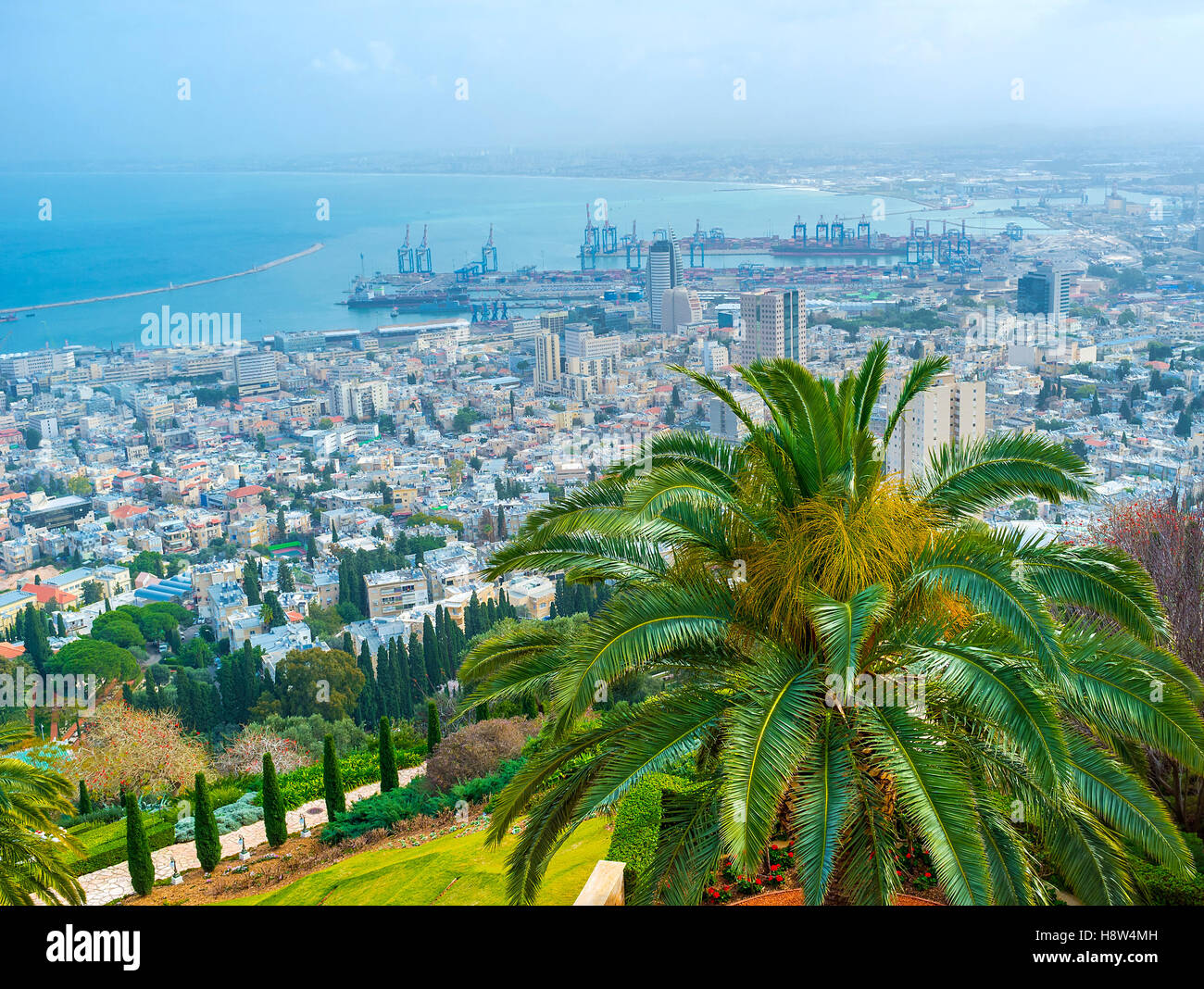 The cityscape of modern city of Haifa with the industrial port and ...
