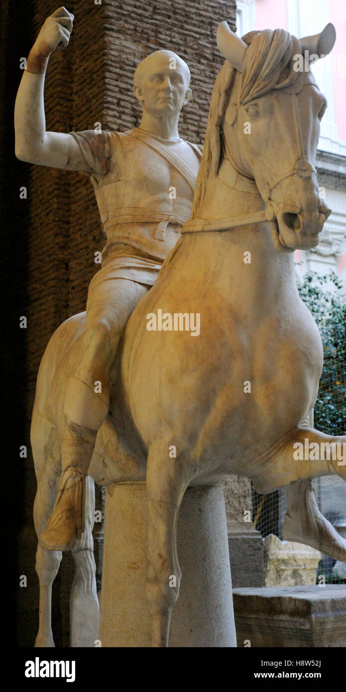 Nonius horse hi-res stock photography and images - Alamy