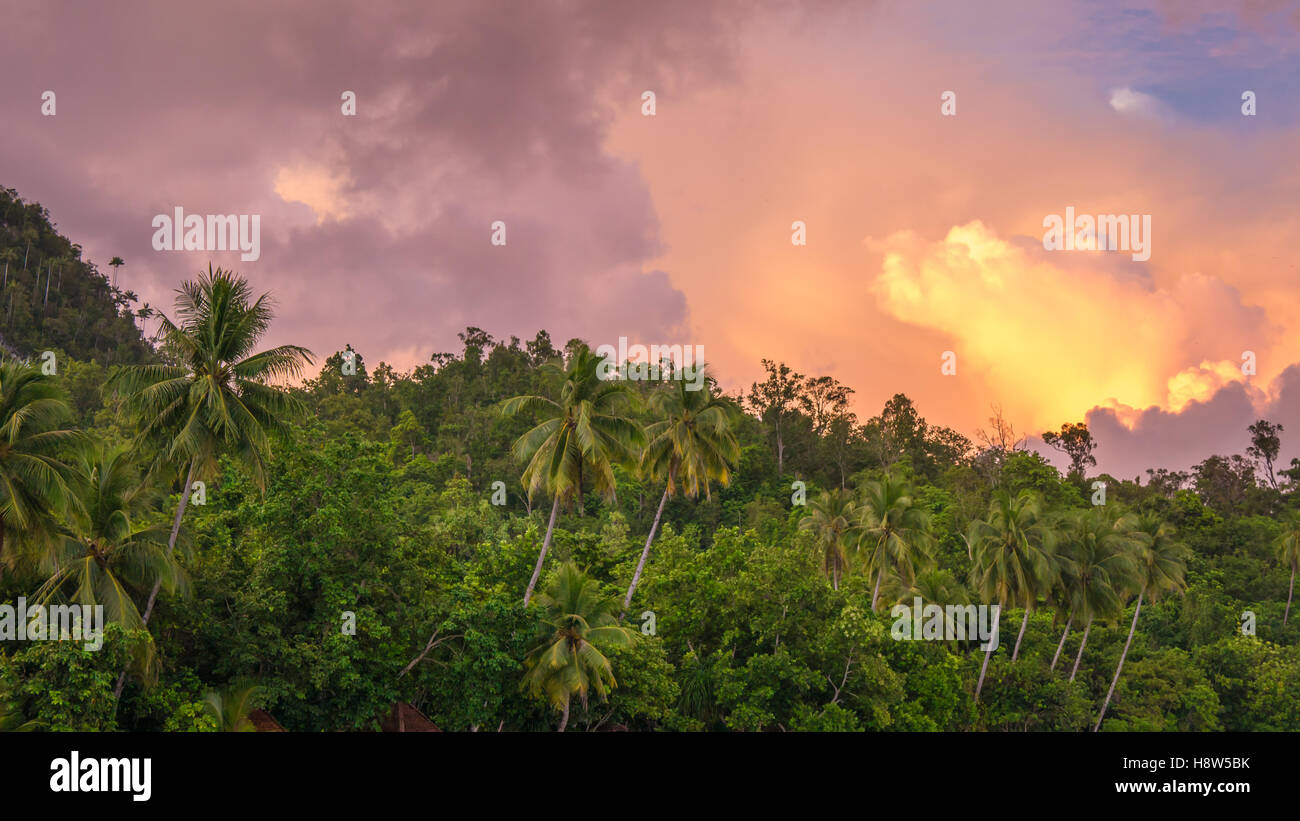 Evening Clouds over Jungle during Sunset on Gam Island, West Papuan ...