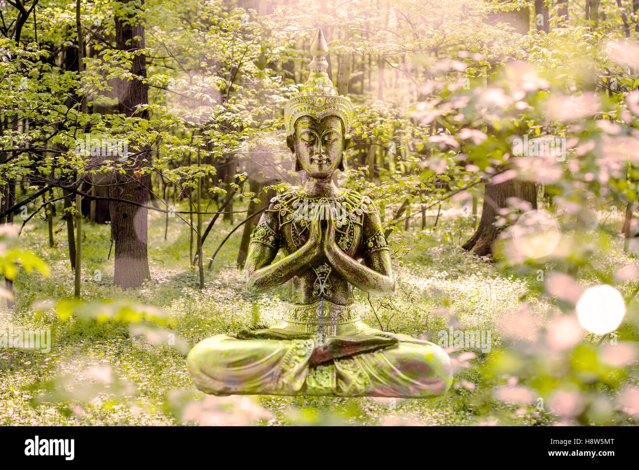 Buddha forest hi-res stock photography and images - Alamy