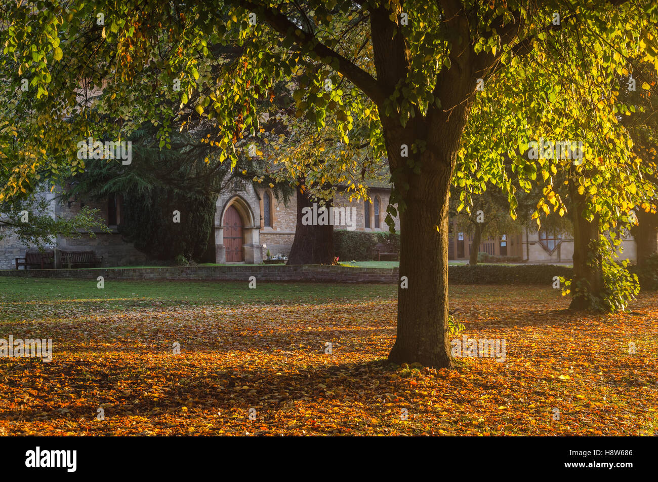 Big green door hi-res stock photography and images - Alamy