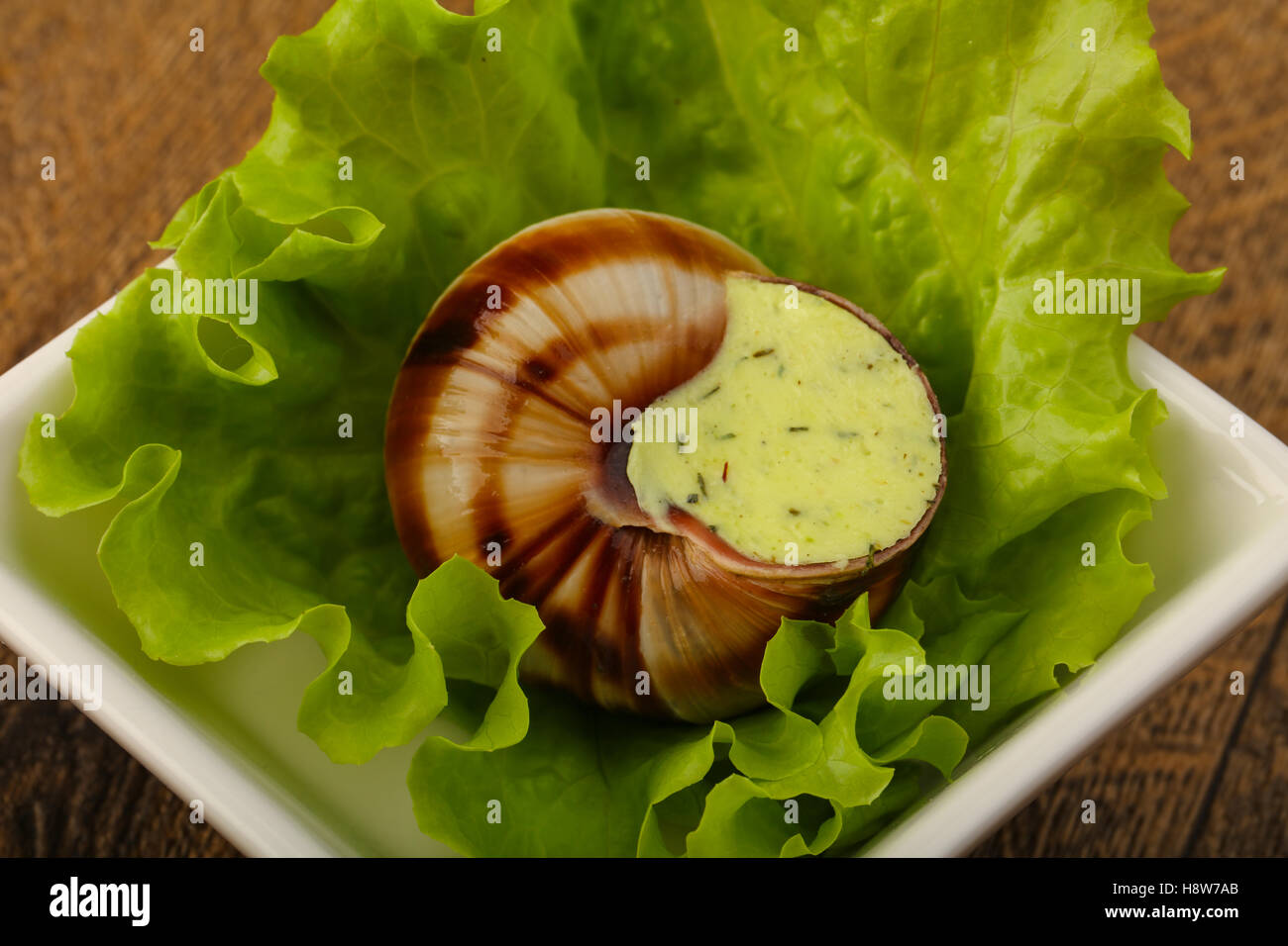 Escargot with cheese cream on salad leaves Stock Photo - Alamy