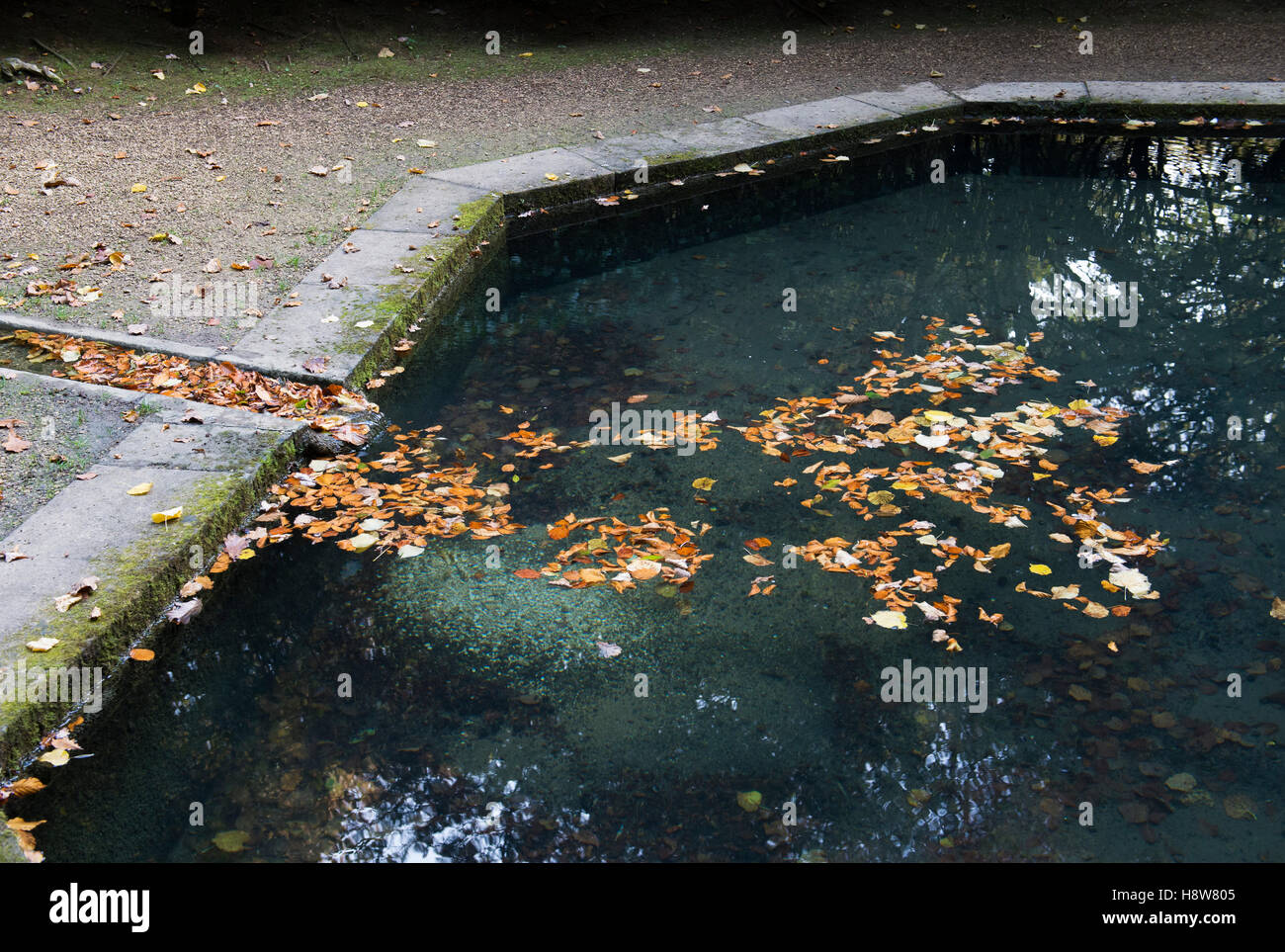Garden pond and water feature hi-res stock photography and images - Alamy