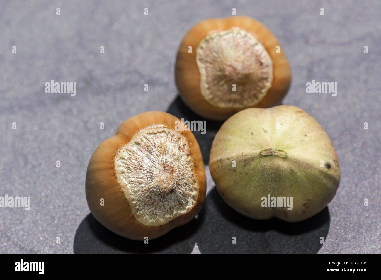 Casse noisette hi-res stock photography and images - Alamy