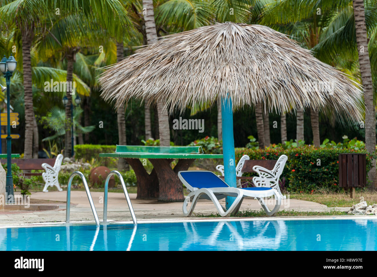 Reclining chair by poolside by straw hut under palm trees on hotel pool ...