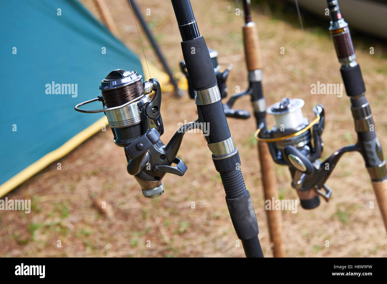 Still life with fishing rods and hiking tent Stock Photo - Alamy