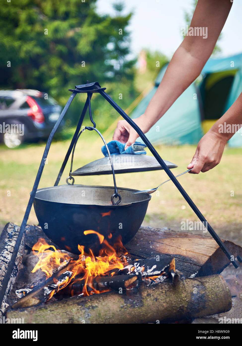 Tourism in cook hi-res stock photography and images - Alamy