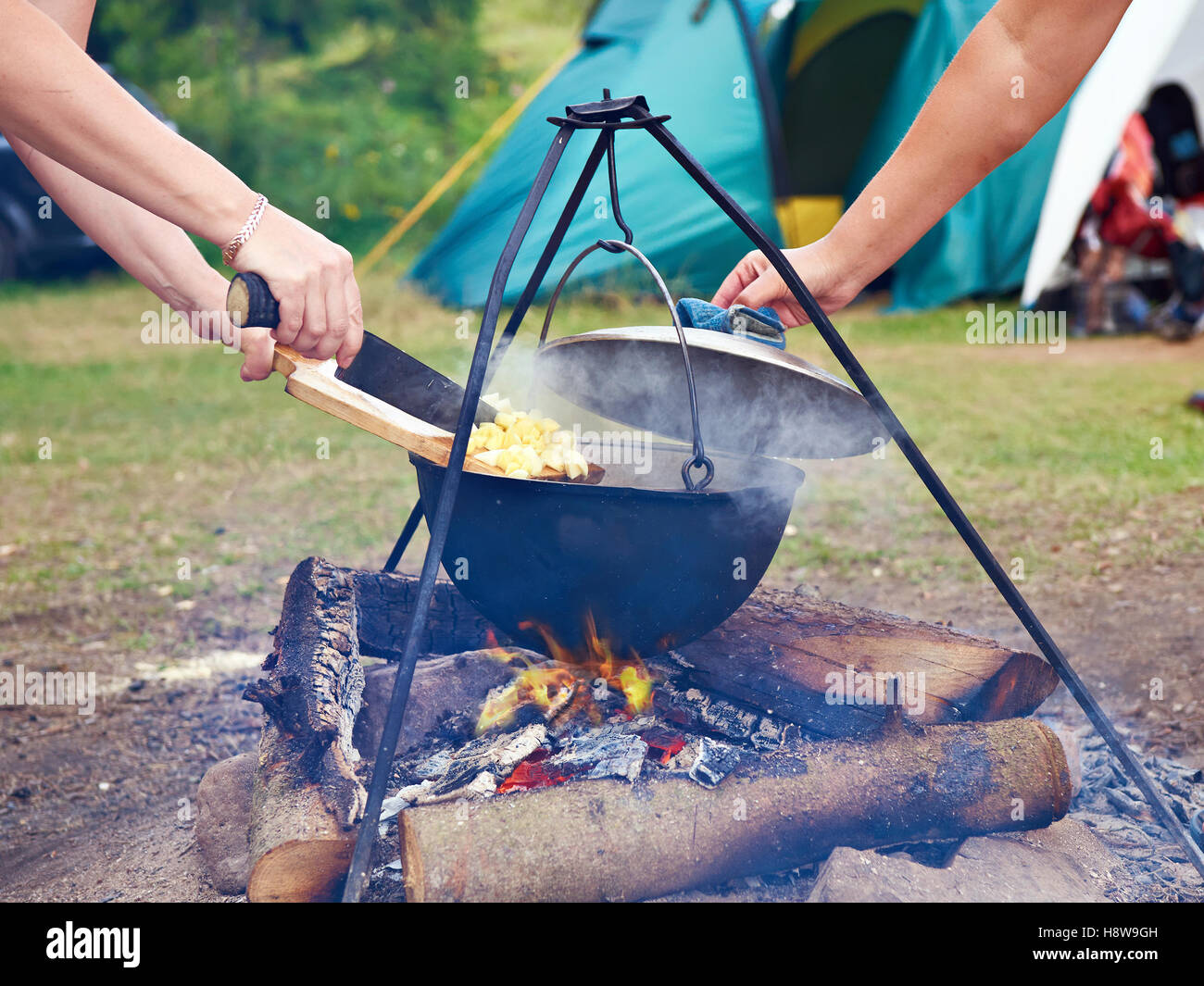 Tourism in cook hi-res stock photography and images - Alamy