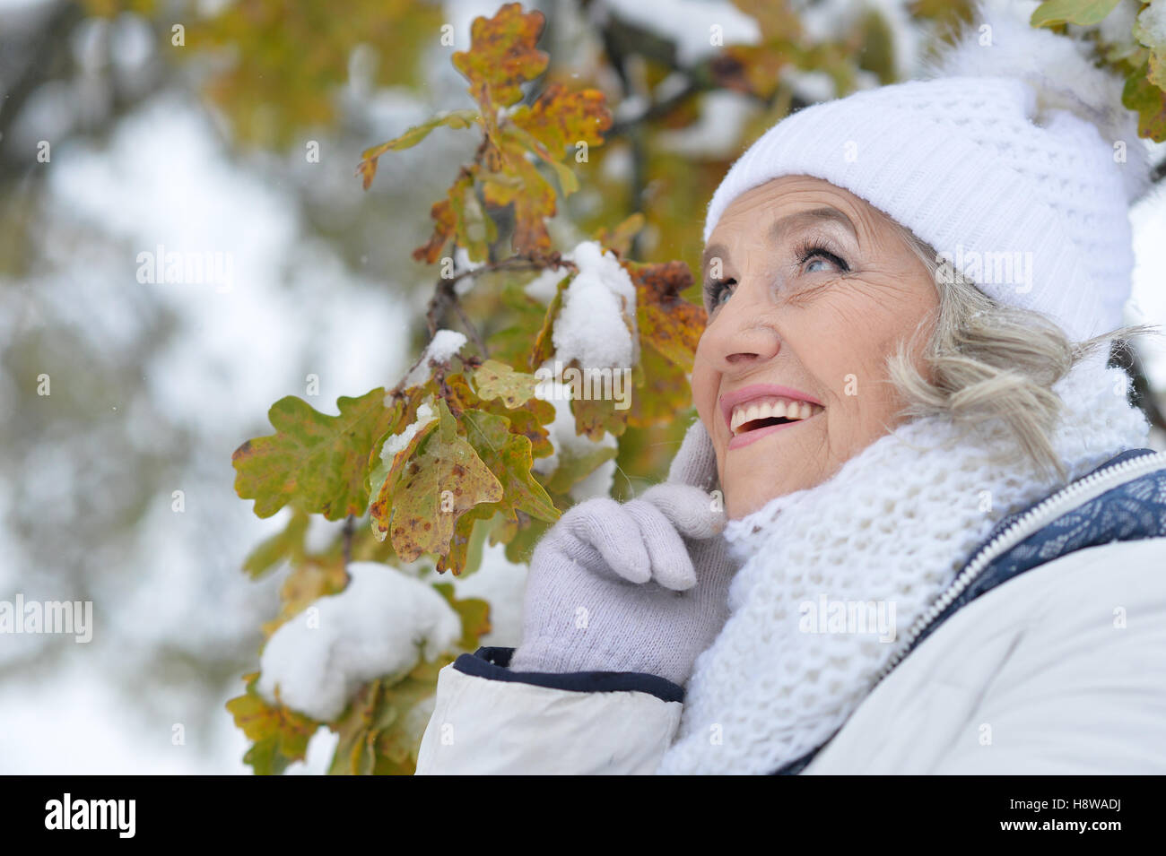 Charming winter in new forest hi-res stock photography and images - Alamy