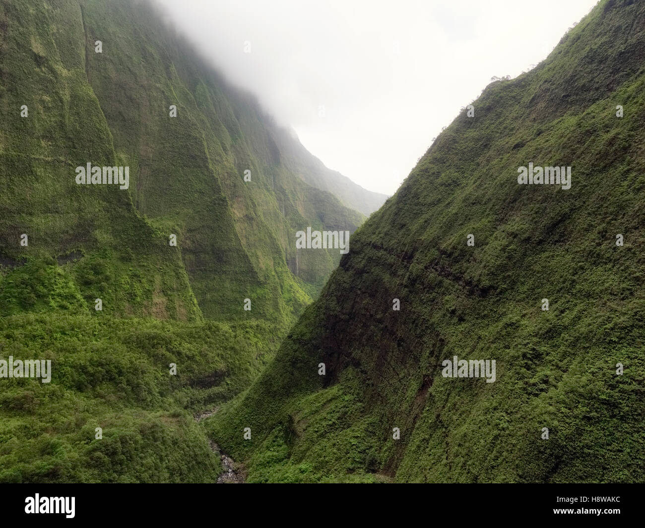 View of Waimea Canyon on Na Pali Coast, Kauai island, Hawaii Stock ...