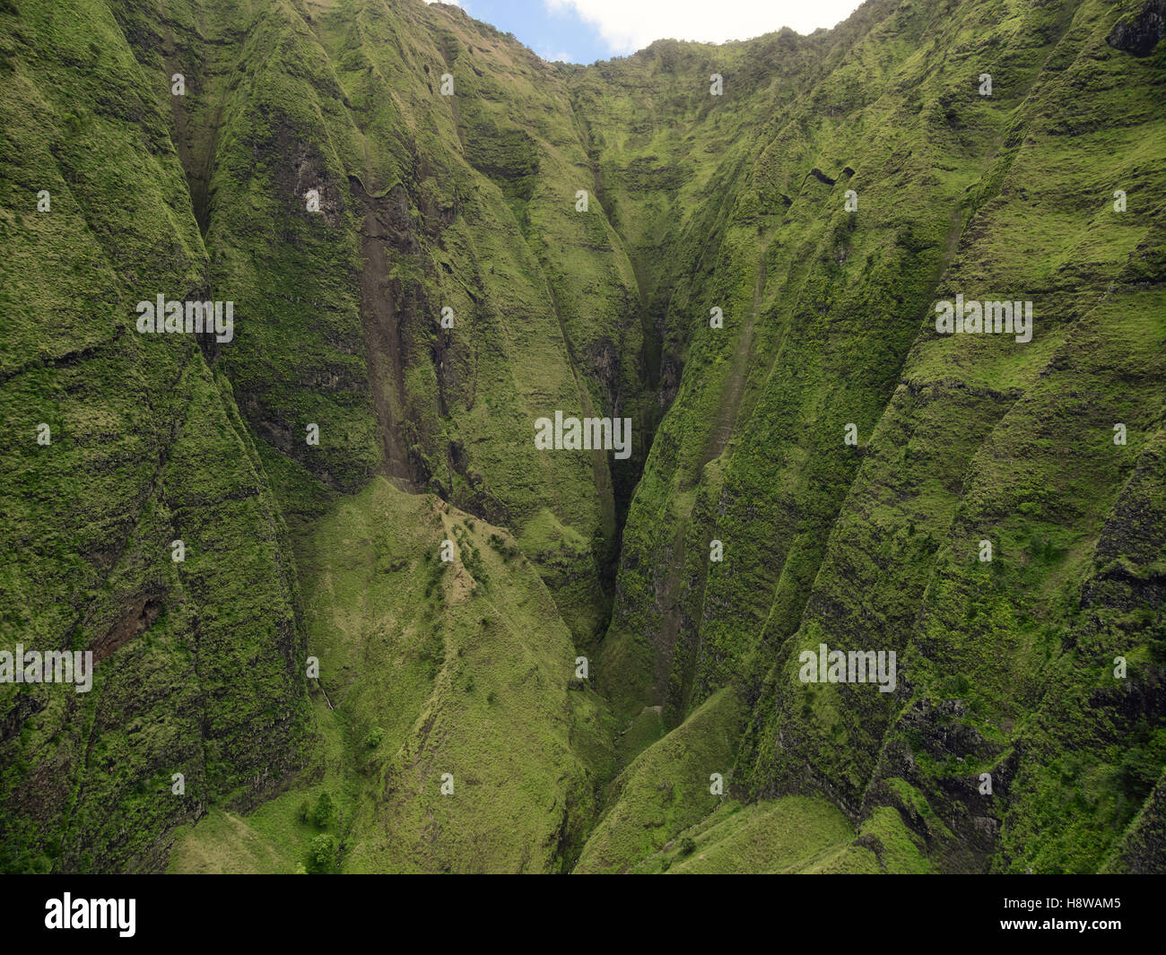 View of Waimea Canyon on Na Pali Coast, Kauai island, Hawaii Stock ...