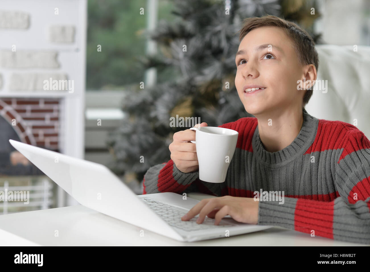 Teen boy with laptop Stock Photo - Alamy