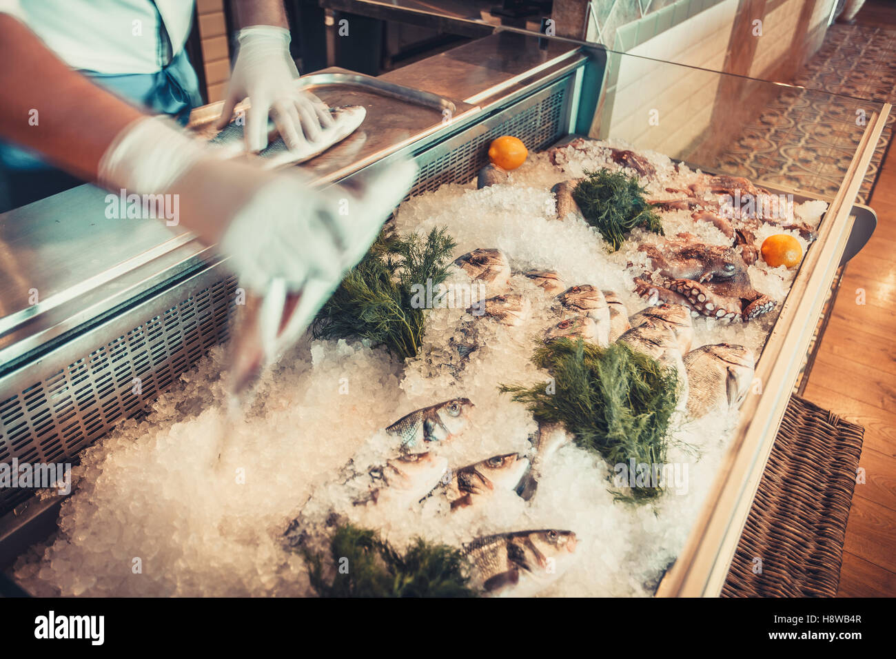 seafood on ice and human hands Stock Photo - Alamy