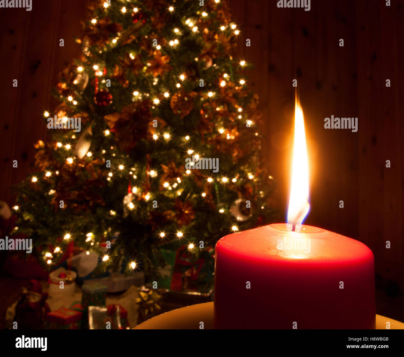 Tree burning hi-res stock photography and images - Alamy