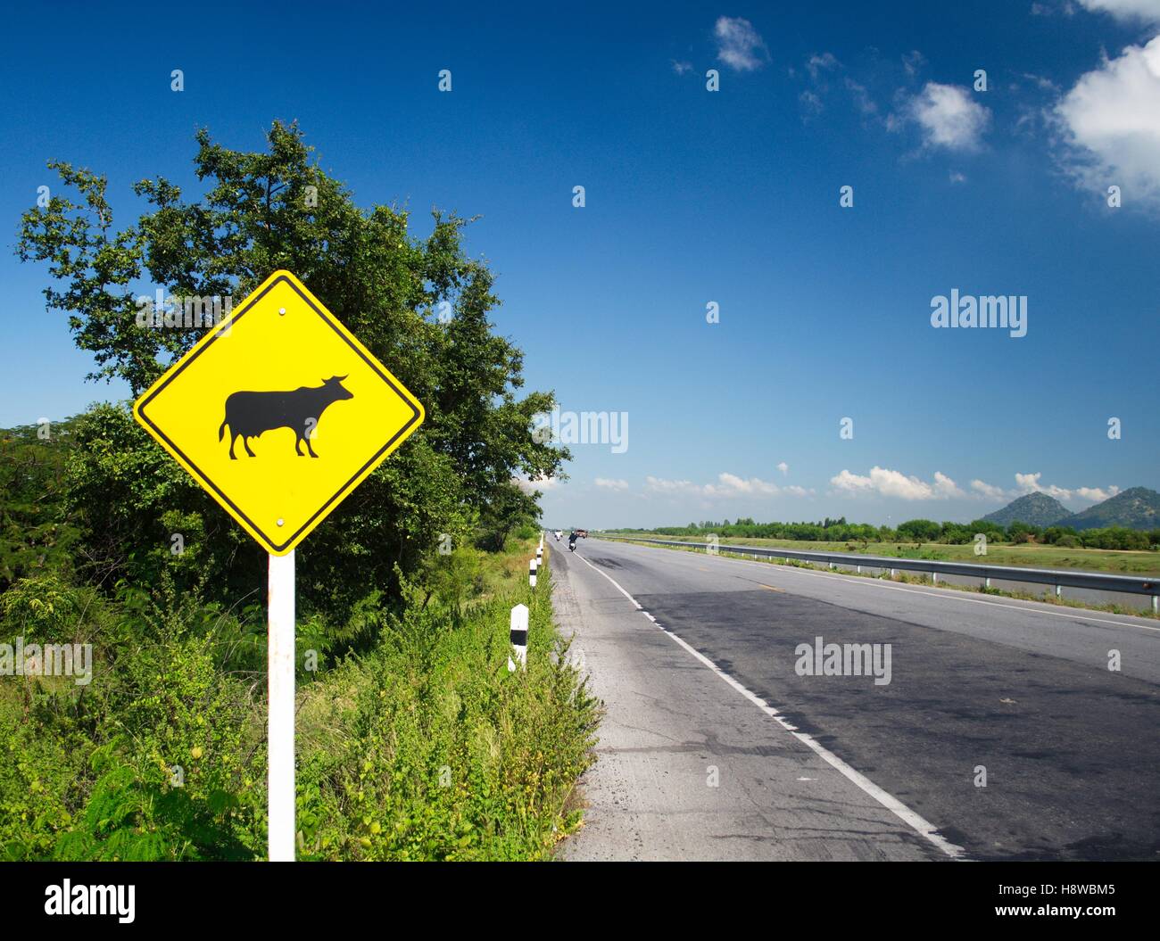 Traffic sign symbols in black on a yellow ground Stock Photo - Alamy