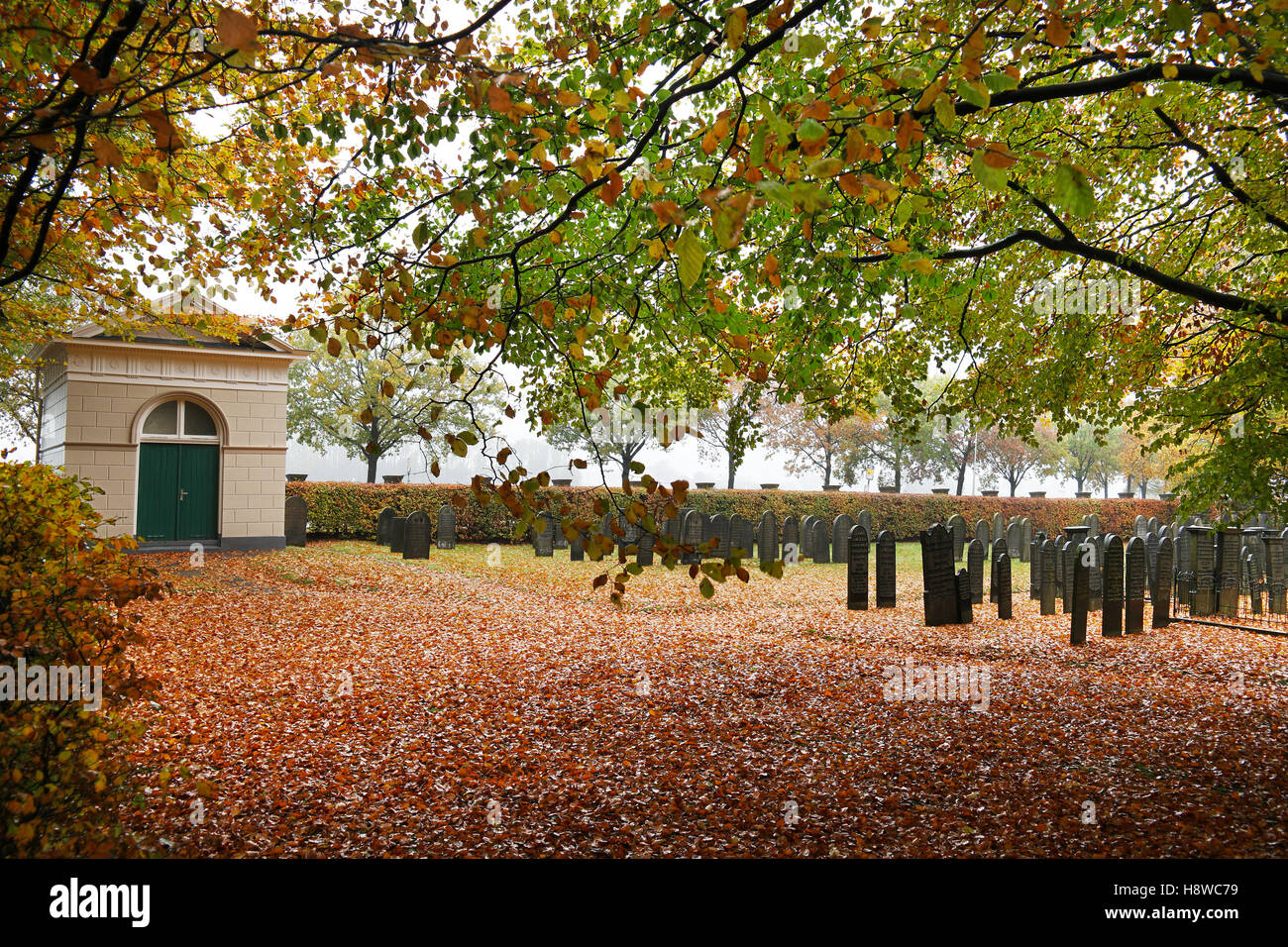 Netherlands cemetery hi-res stock photography and images - Alamy