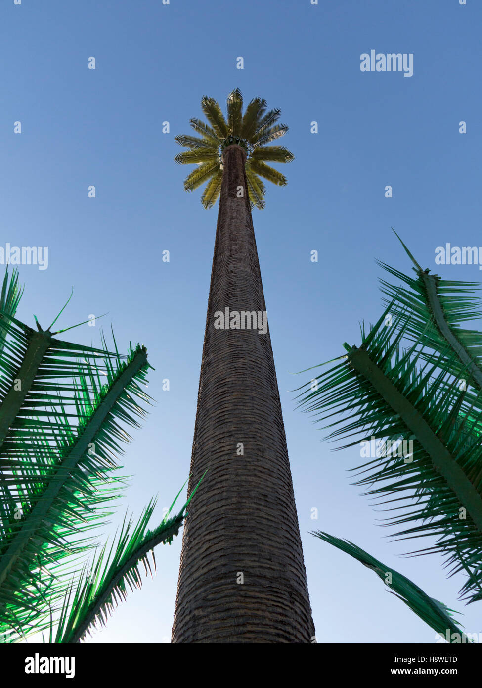 Disguised radio and telephone communication masts and aerials in ...