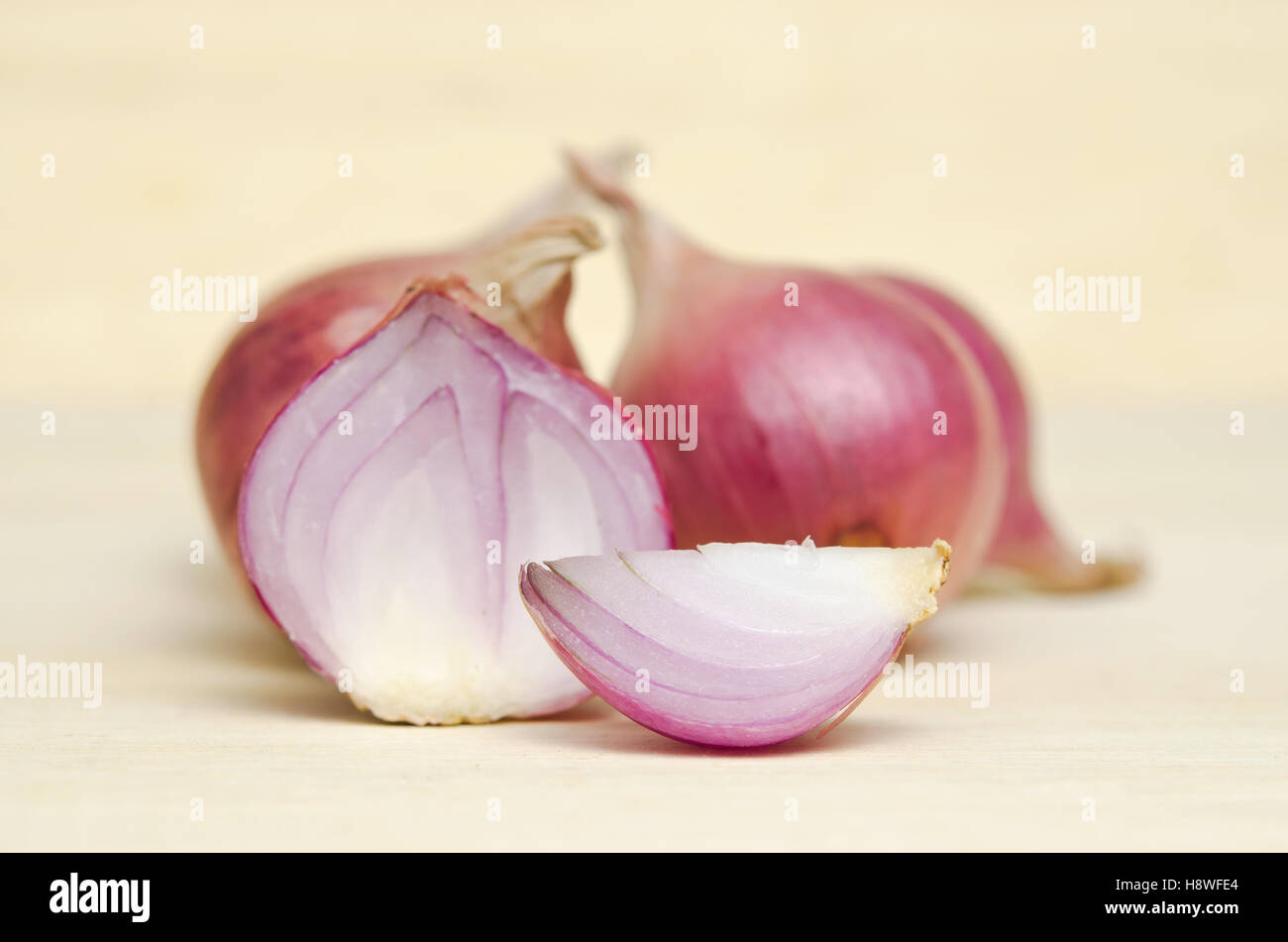 Shallot (also named as ascalonicum, Allium stipitatum, Allium ...