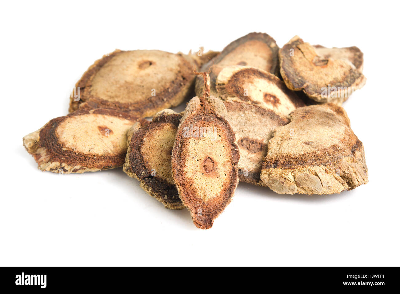 Butea superba Roxb (Also named as red Kwao Krua, Leguminosae Butea ...