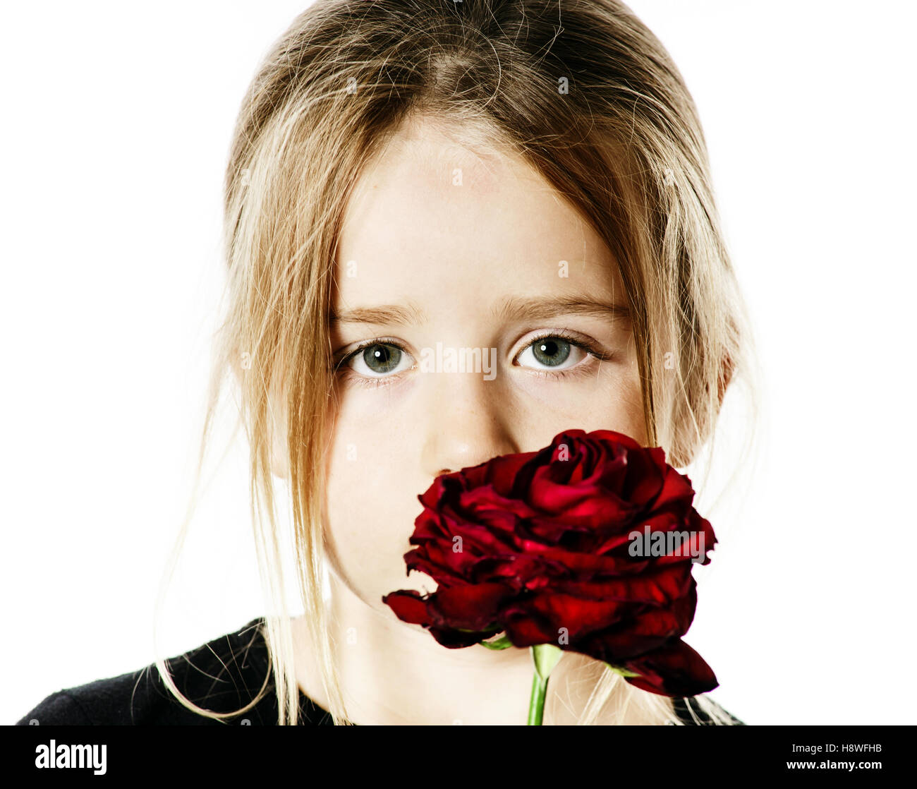 Cute little girl portrait with red rose, isolated on white background ...