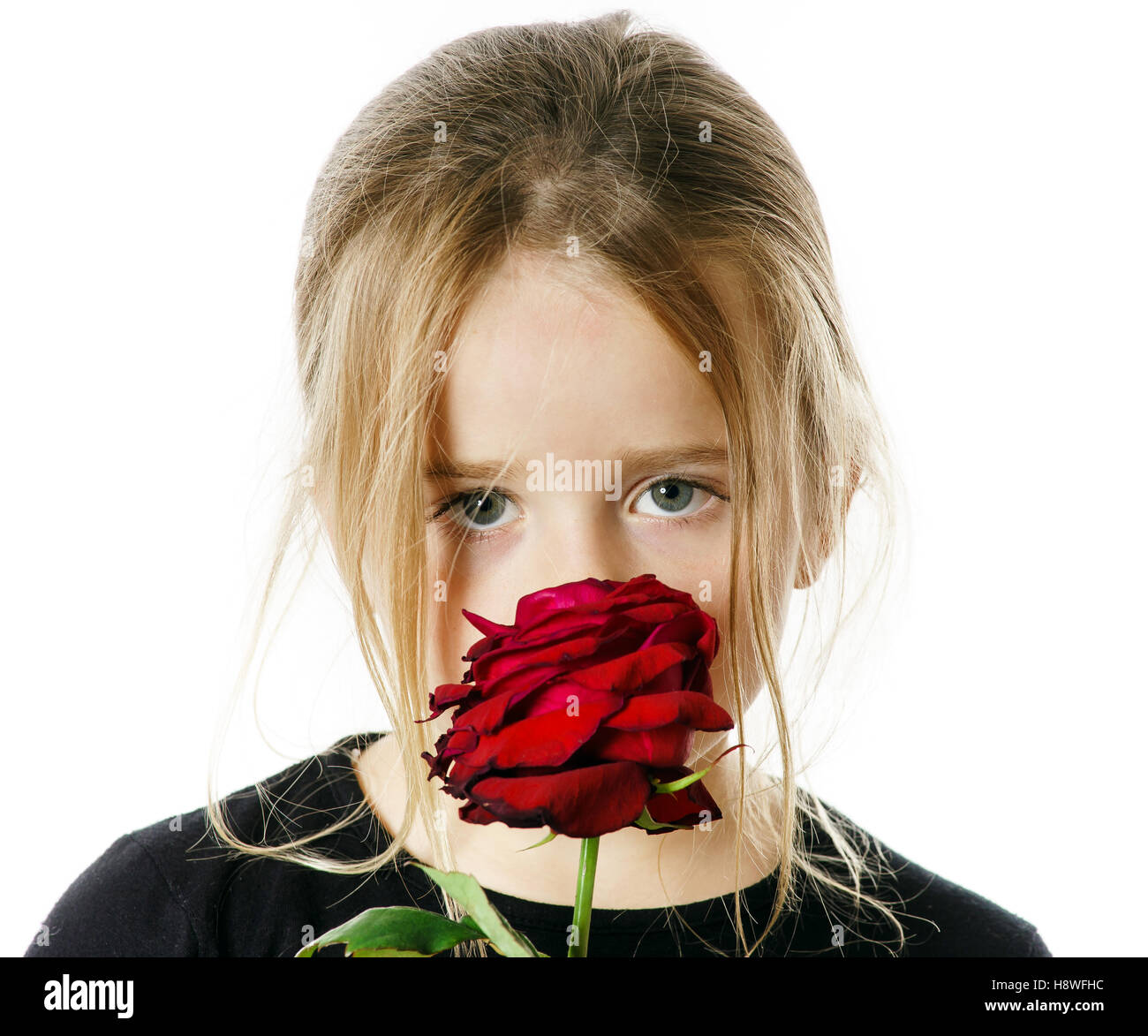 Cute little girl portrait with red rose, isolated on white background ...