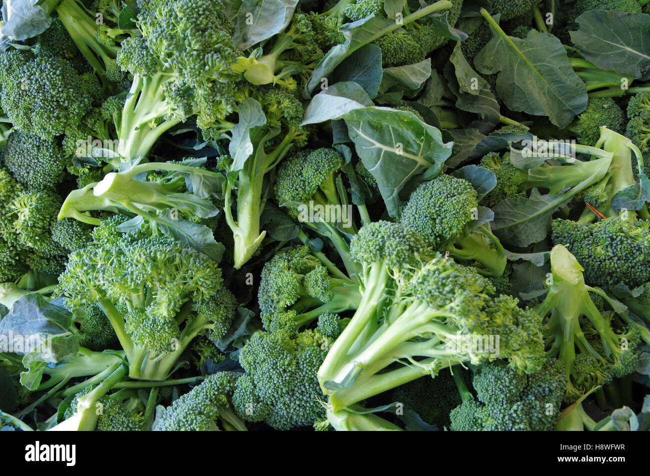 Broccoli heads hi-res stock photography and images - Alamy