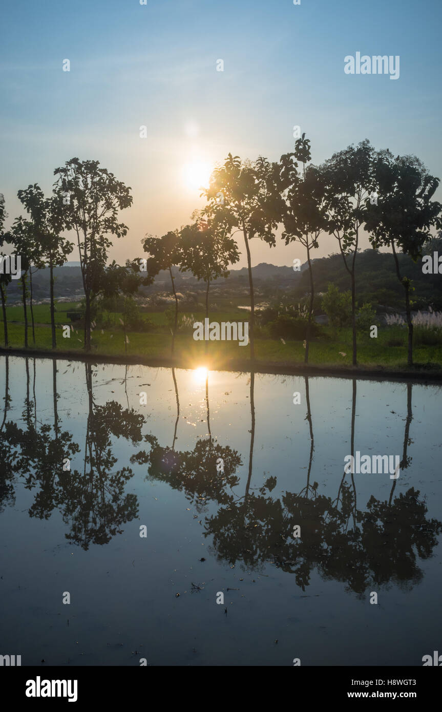 Pool and rice fields hi-res stock photography and images - Alamy