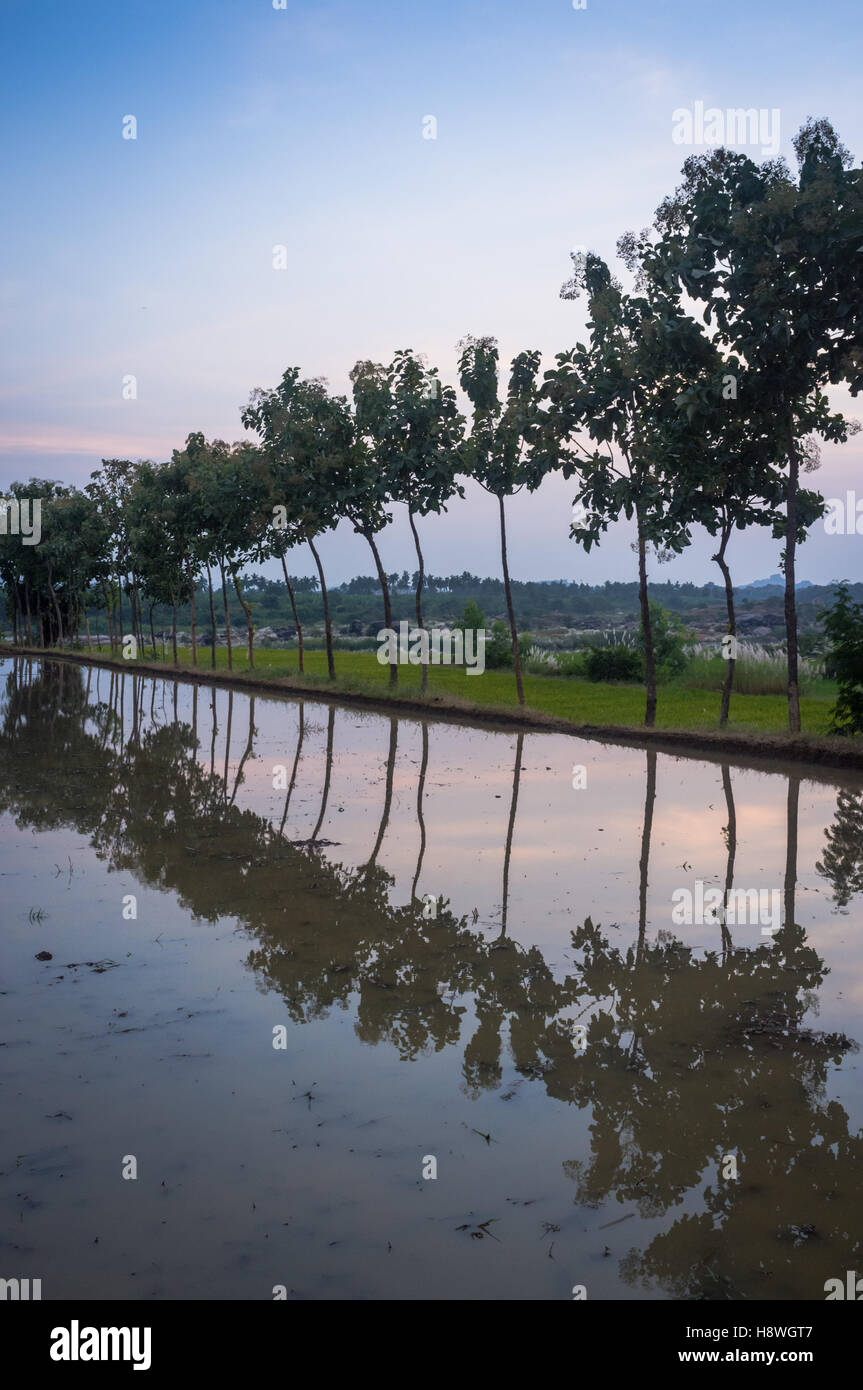 Pool and rice fields hi-res stock photography and images - Alamy