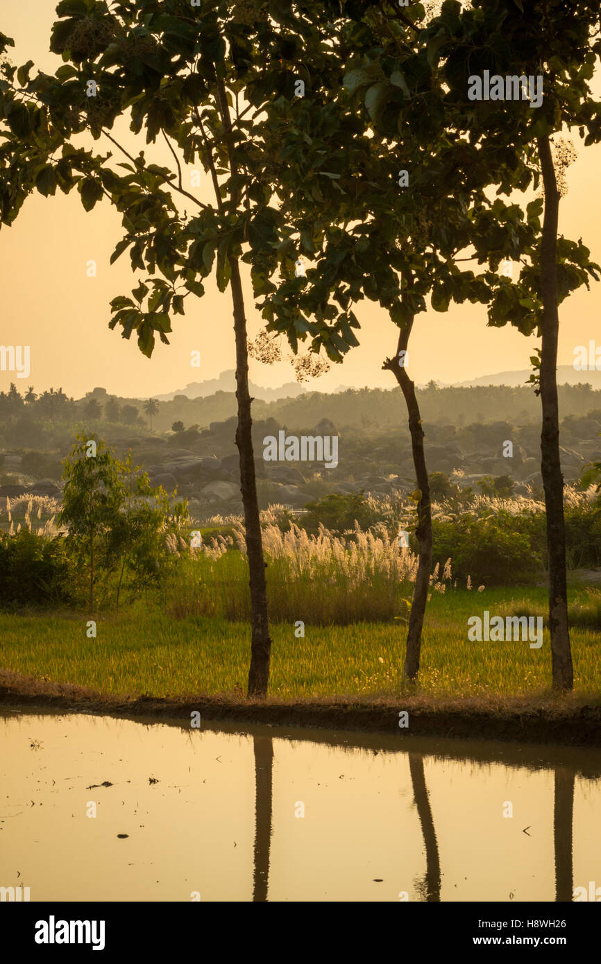 Pool and rice fields hi-res stock photography and images - Alamy