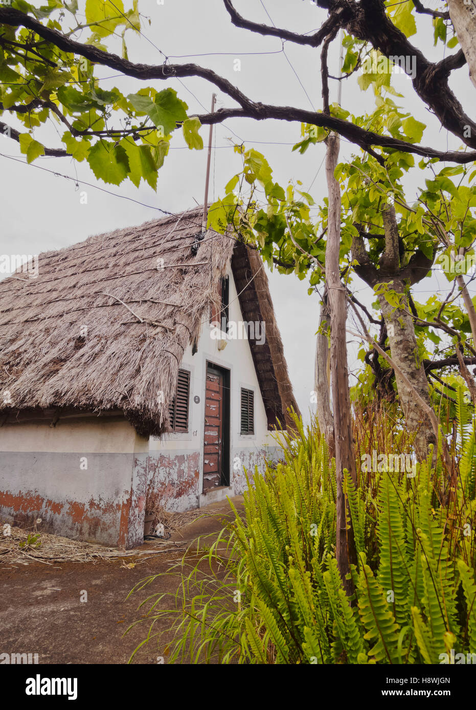 Portugal, Madeira, Traditional Rural House in Santana Stock Photo - Alamy