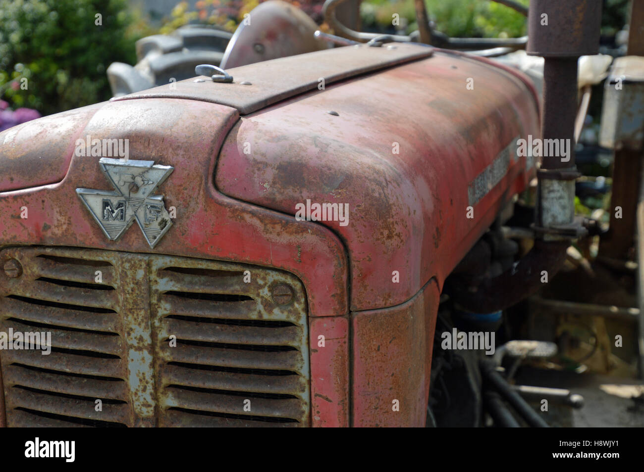 Vintage Massey Ferguson tractor in dilapidated state Stock Photo - Alamy