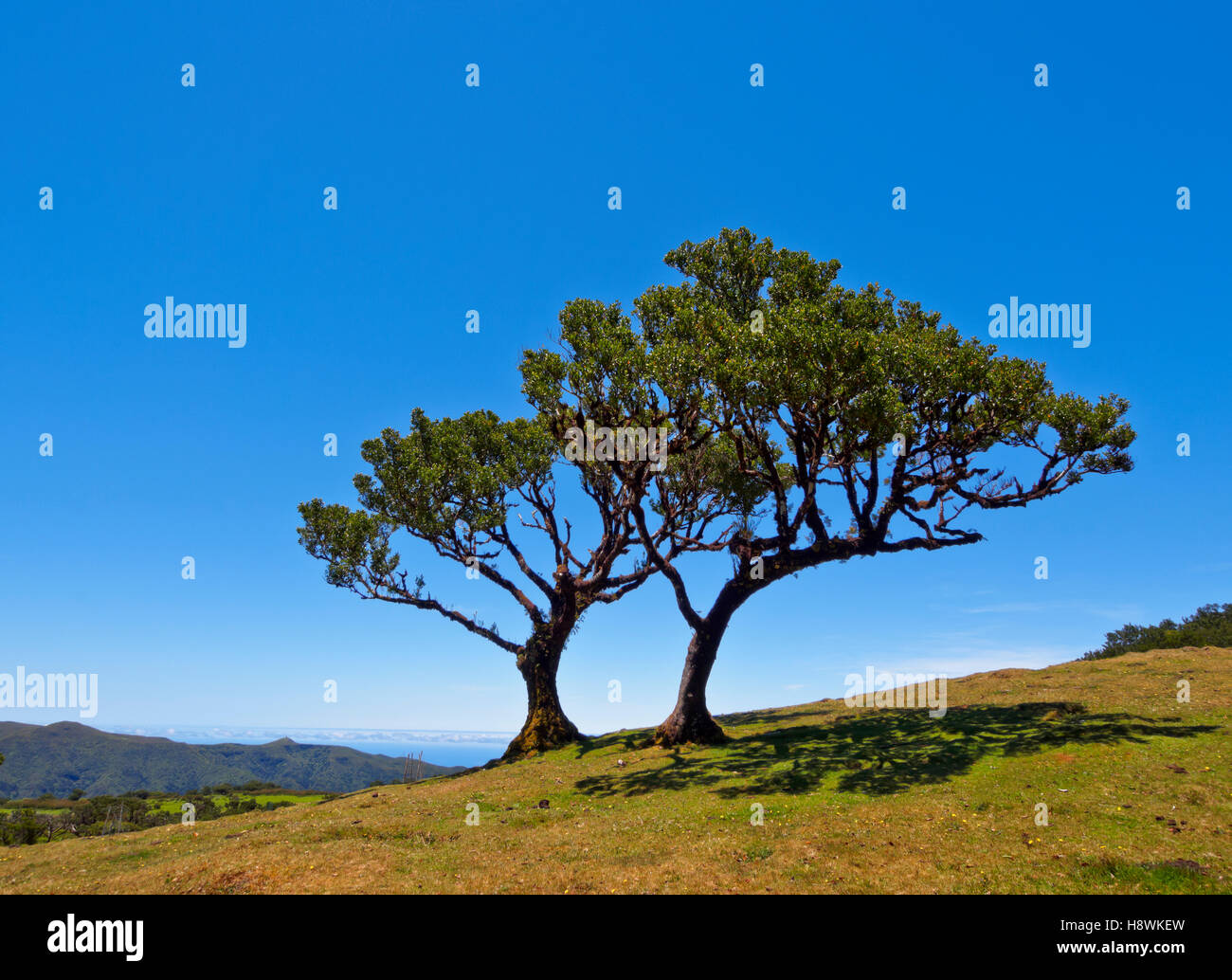 Fanal hi-res stock photography and images - Alamy