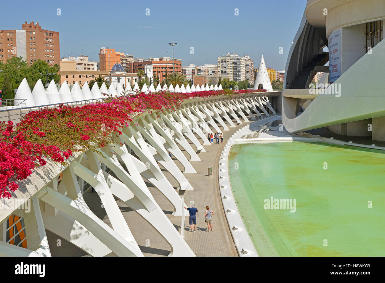 The City of Arts and Sciences in the Turia Gardens, Valencia, Spain ...