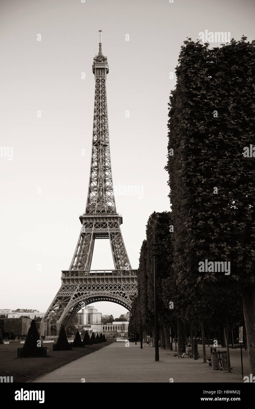 Eiffel Tower as the famous city landmark in Paris Stock Photo - Alamy
