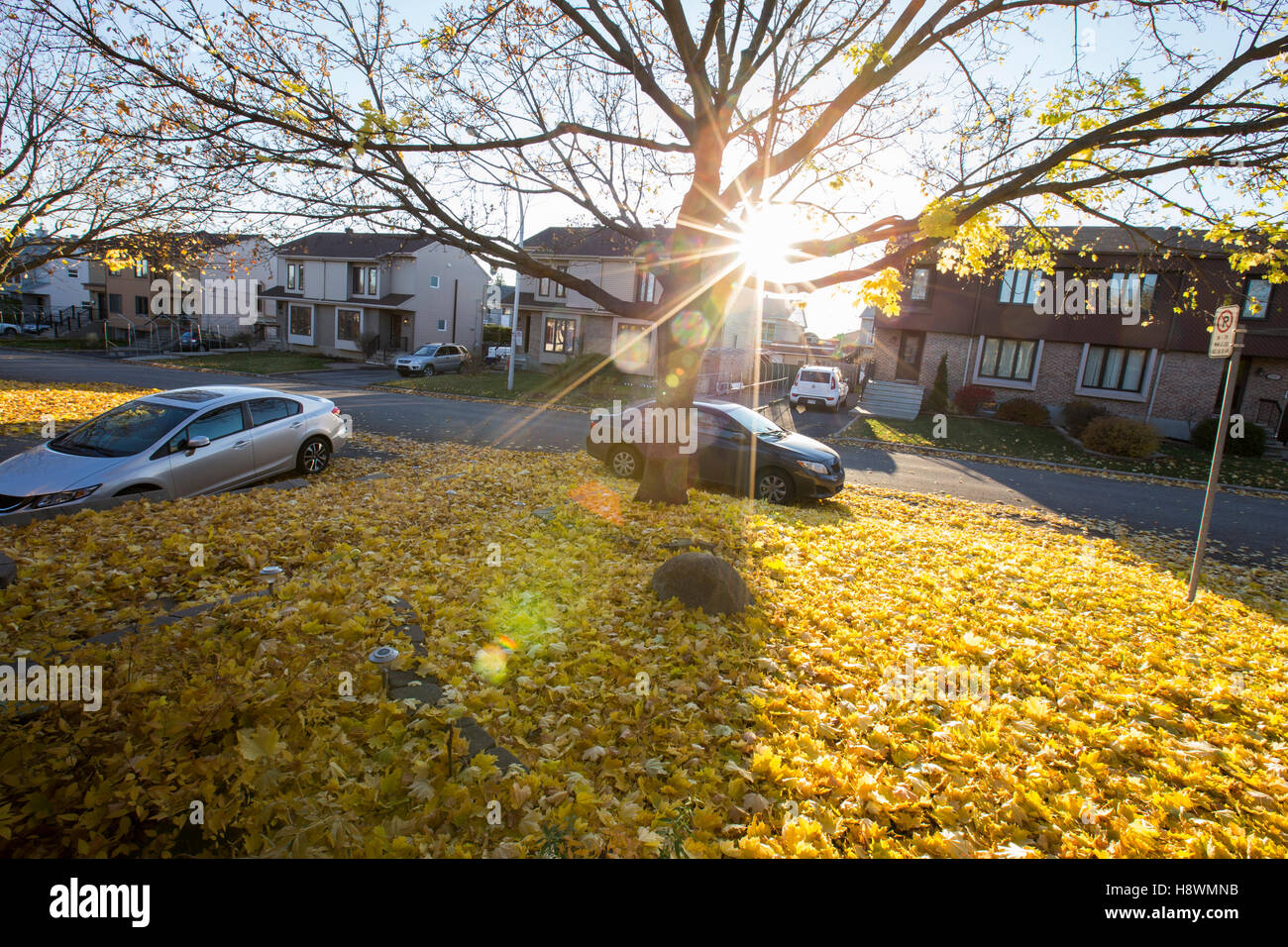 Traditional canadian house hi-res stock photography and images - Alamy