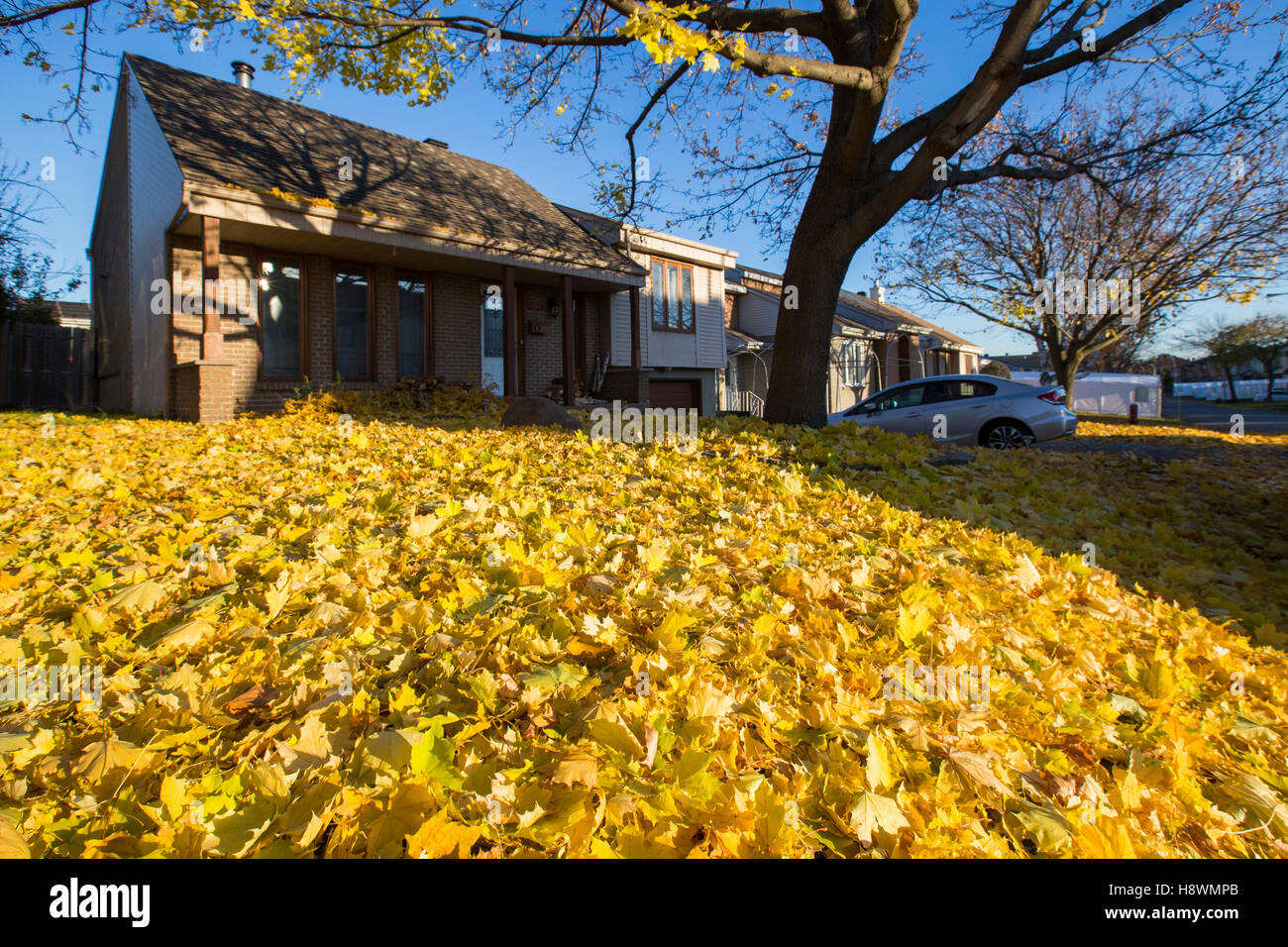 Traditional Canadian house in autumn Stock Photo - Alamy
