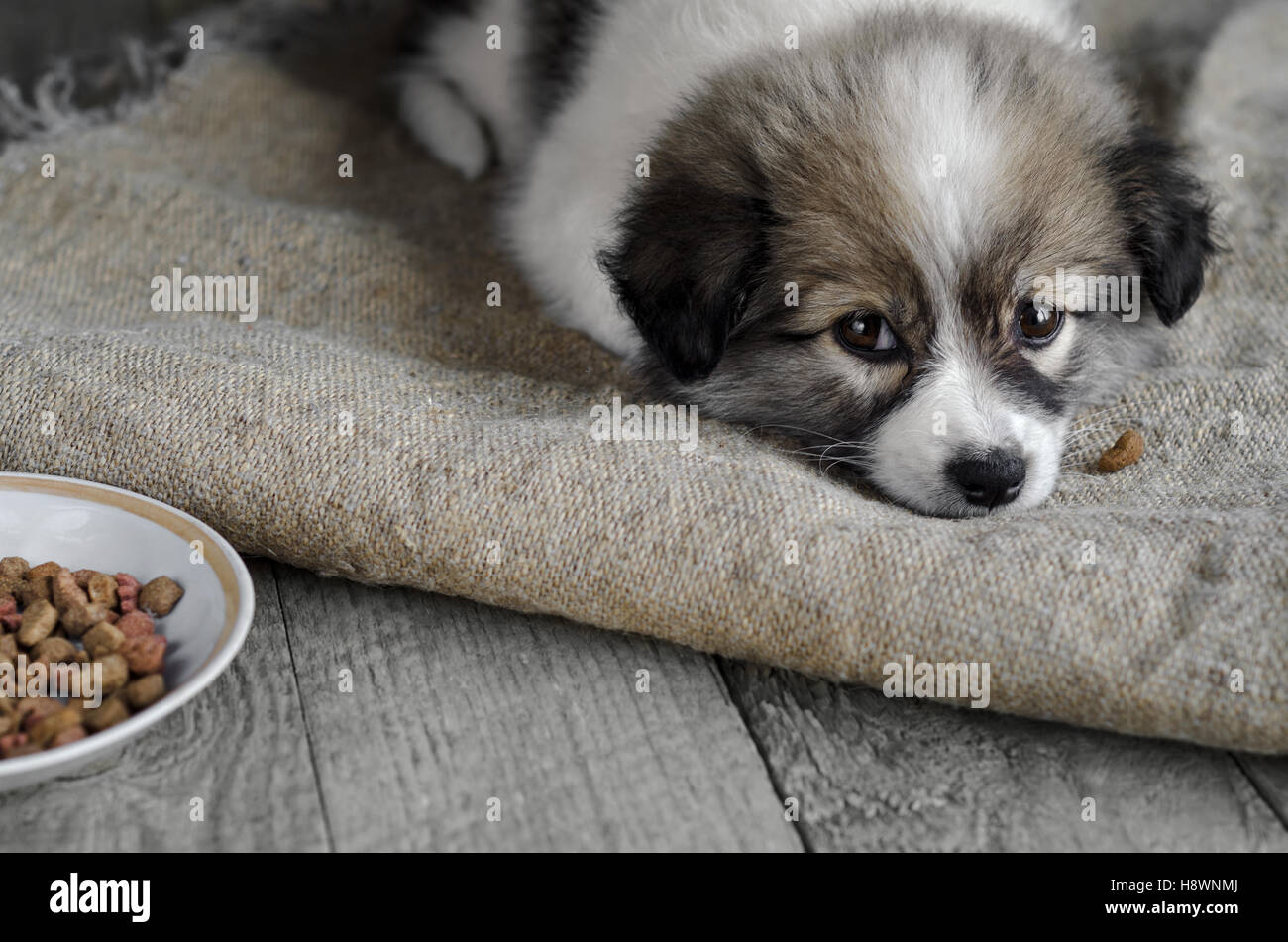 Little place plate hi-res stock photography and images - Alamy