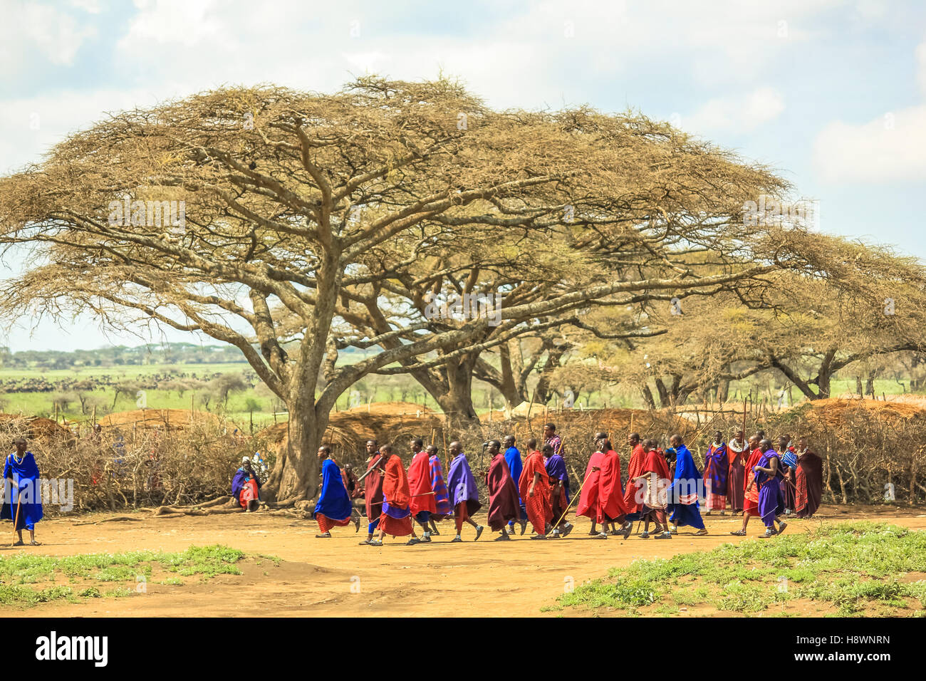 Maasai people hi-res stock photography and images - Alamy