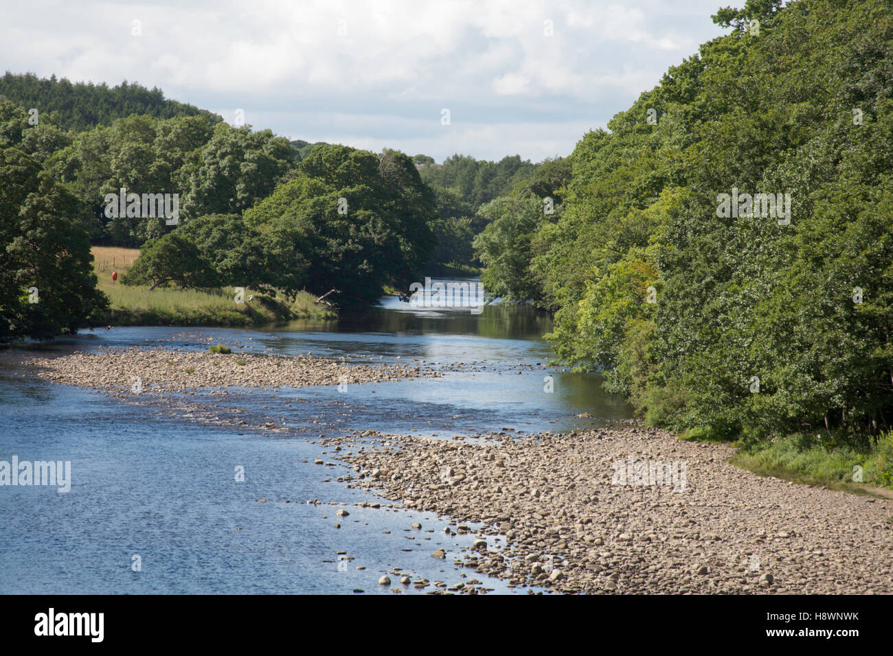 The River Tees Barnard Castle County Durham England in summer Stock ...