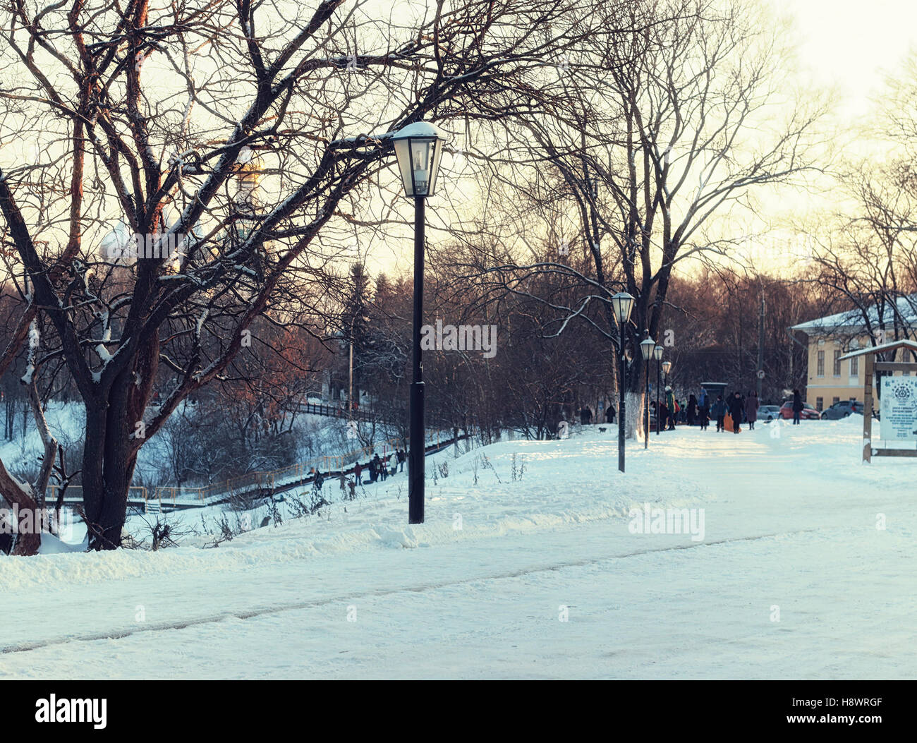 Winter street light tree Stock Photo - Alamy
