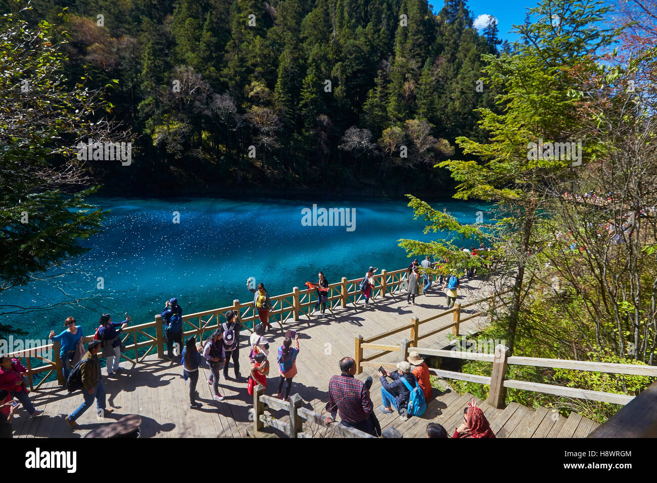 Five colors lake, Jiuzhaigou valley, Sichuan, China Stock Photo - Alamy