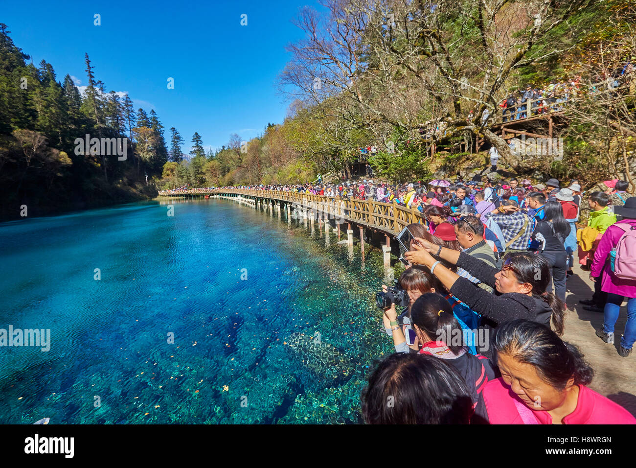 Five colors lake, Jiuzhaigou valley, Sichuan, China Stock Photo - Alamy