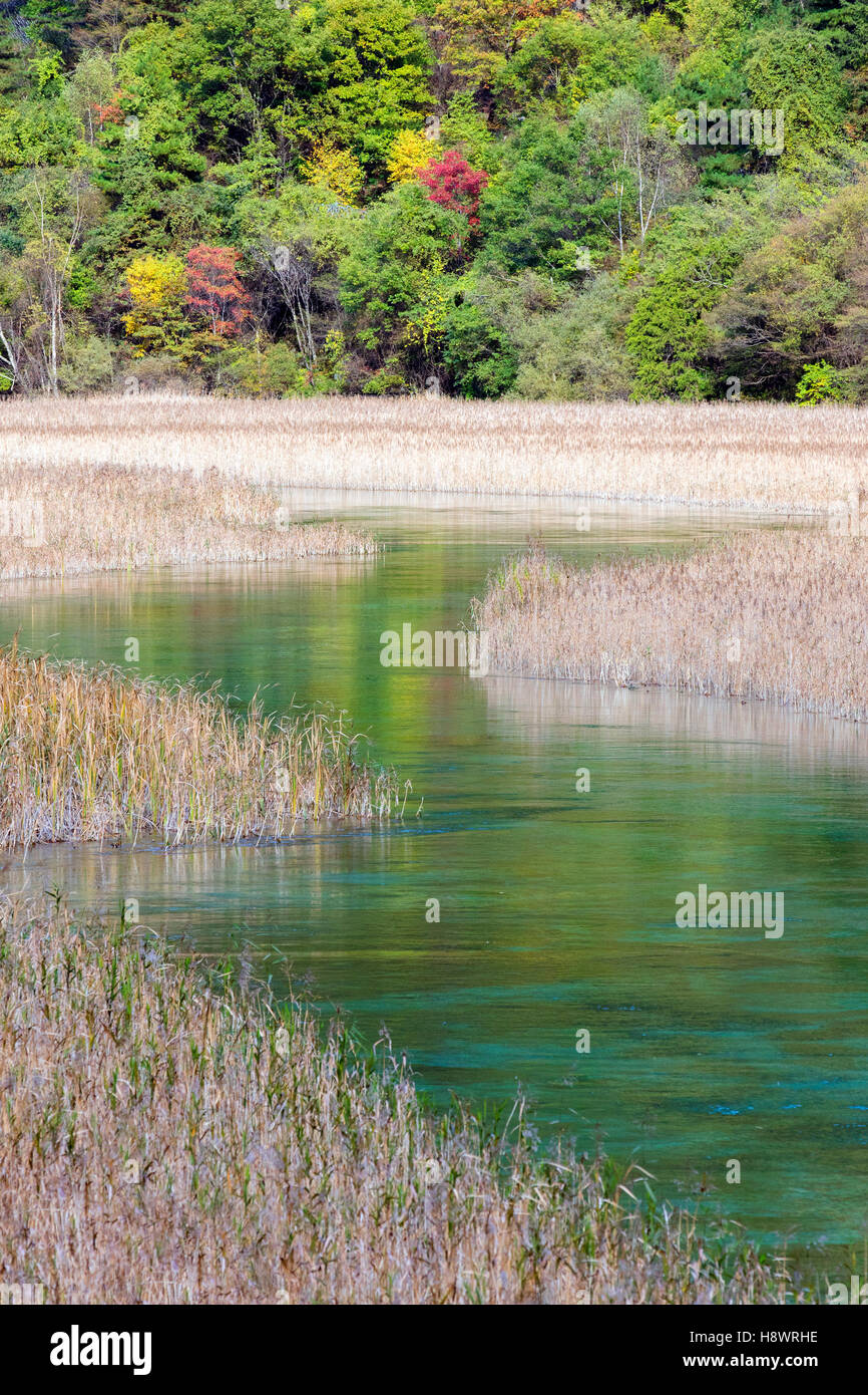 River coming from the Reed lake, Jiuzhaigou valley, Sichuan, China ...