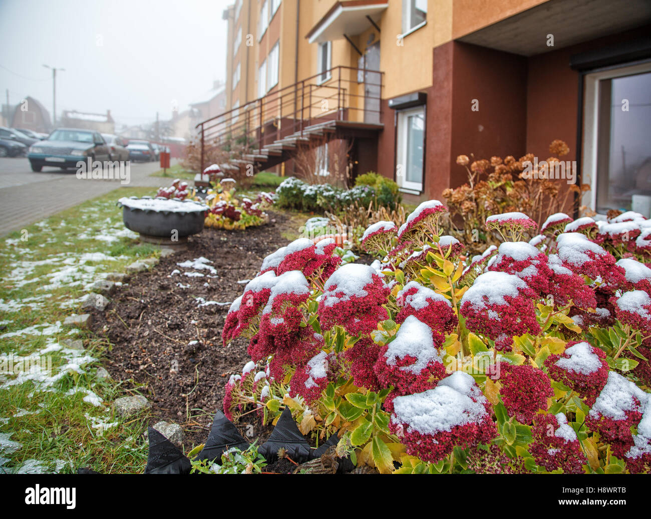 Car breaking house hi-res stock photography and images - Alamy