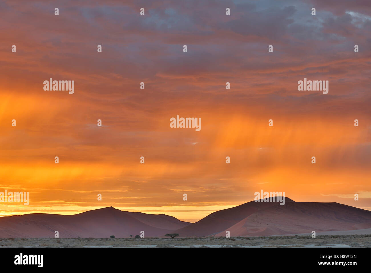 Light storm at dawn on the Namib Desert, Namibia Stock Photo - Alamy