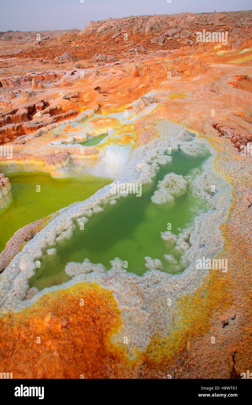 Acid ponds in Dallol, Ethiopia Stock Photo - Alamy