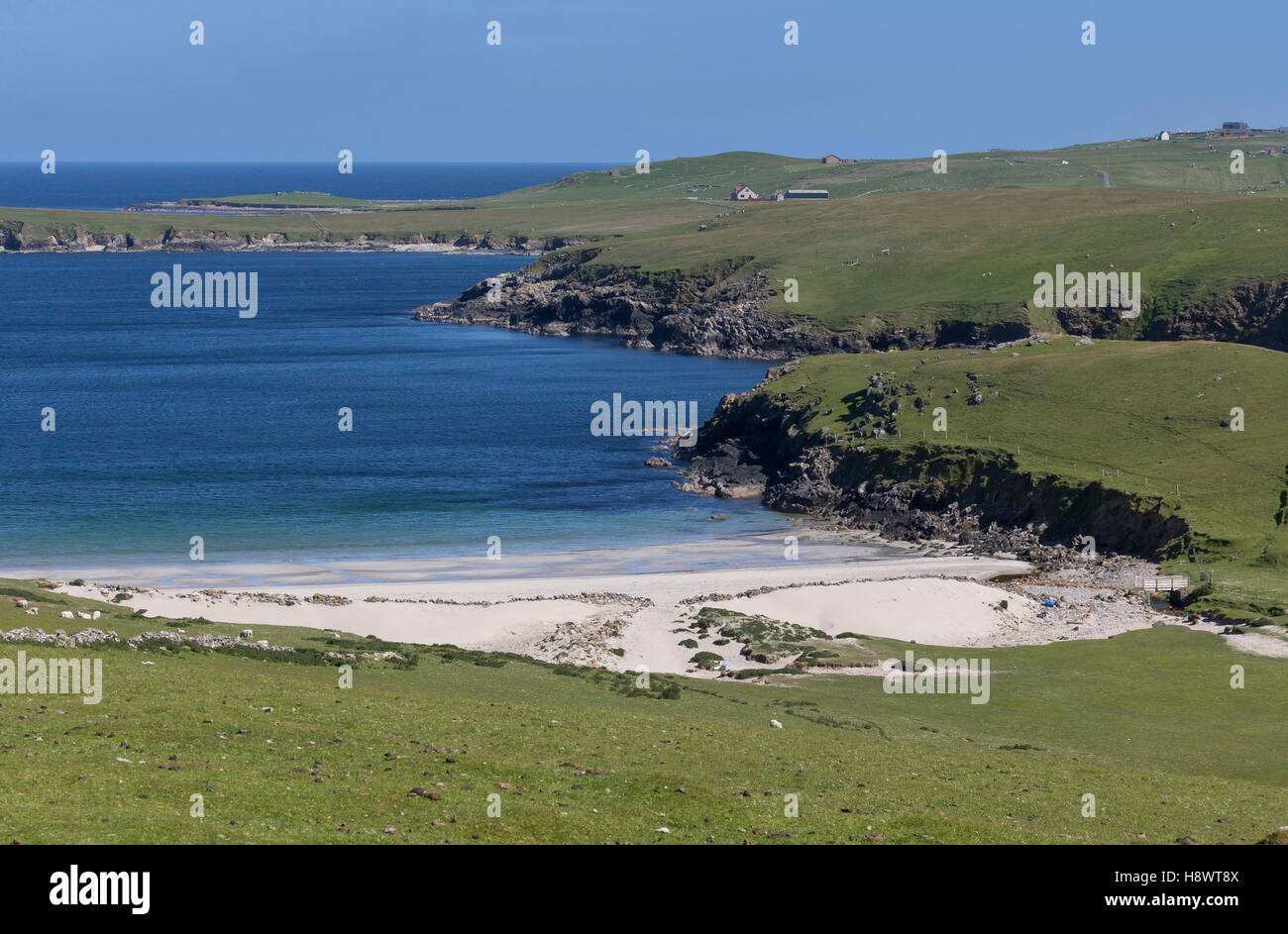 Unst island landscape in spring, Shetland, Scotland Stock Photo - Alamy