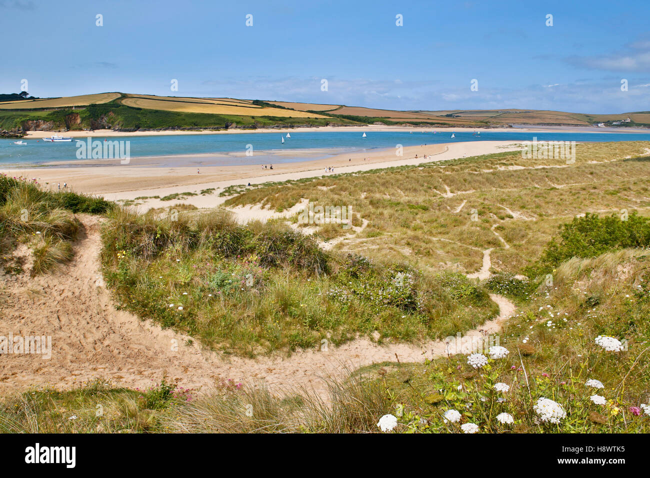 Rock cornwall hi-res stock photography and images - Alamy