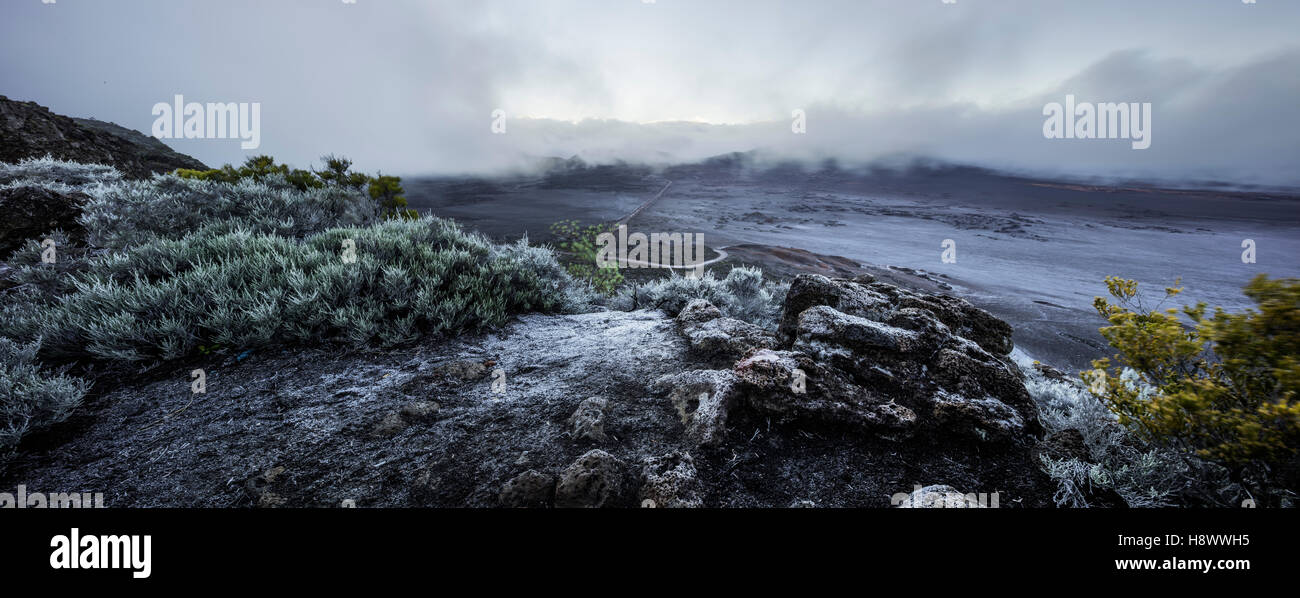 Frost at dawn on the slag of the Plaine des Sables, Reunion Island ...