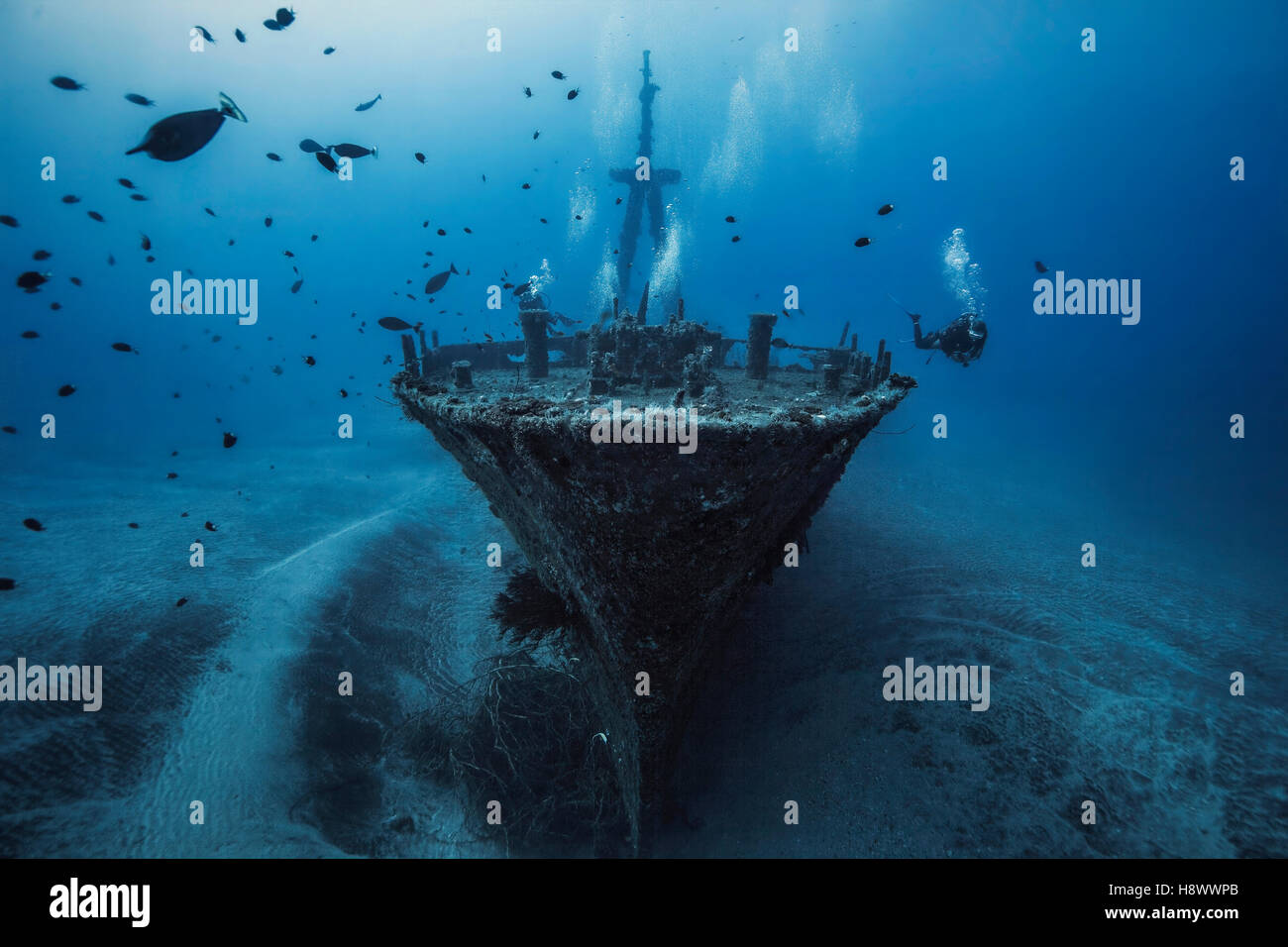 Diver and the wreck of Hai Siang sliding by 55 m deep, Indian Ocean ...